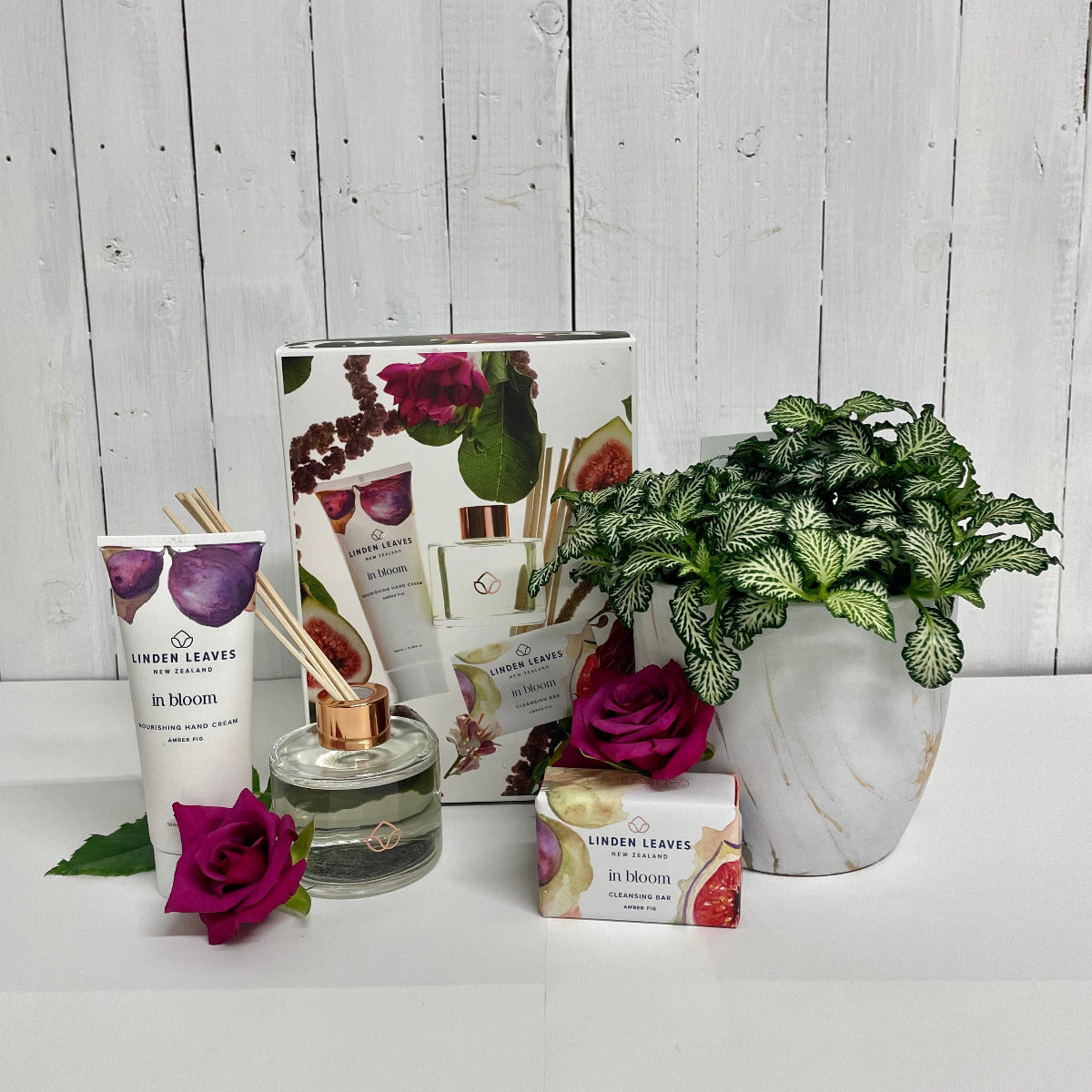 The gift of green- Easy care, long lasting gift bundle – Moffatt's ...